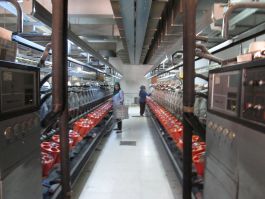 COMPLETE MARZOLI SPINNING UNIT